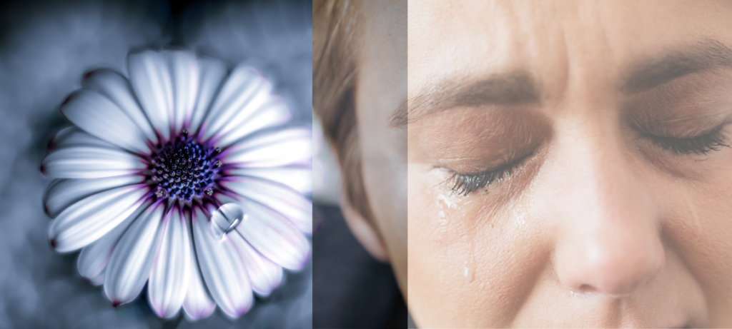 What To Do When The Tears Won’t Stop - Transformational Parent